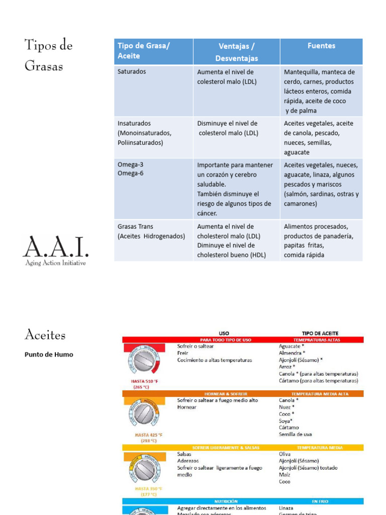 Fats and Oils Spanish | PDF