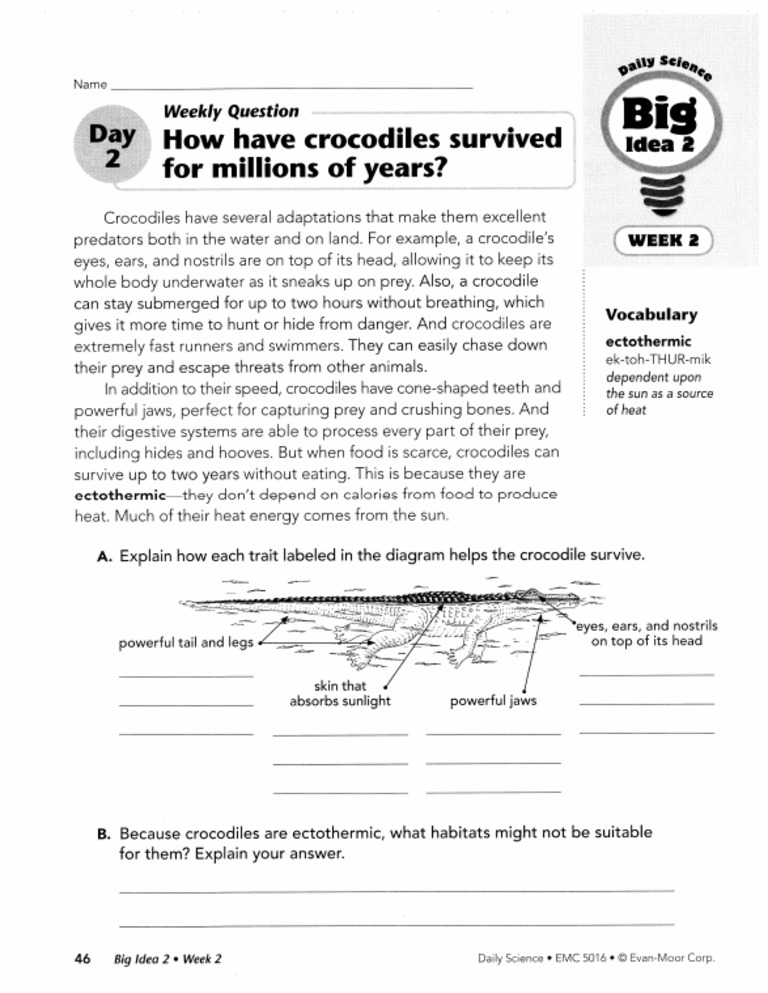 (Template) DS6 046 | PDF