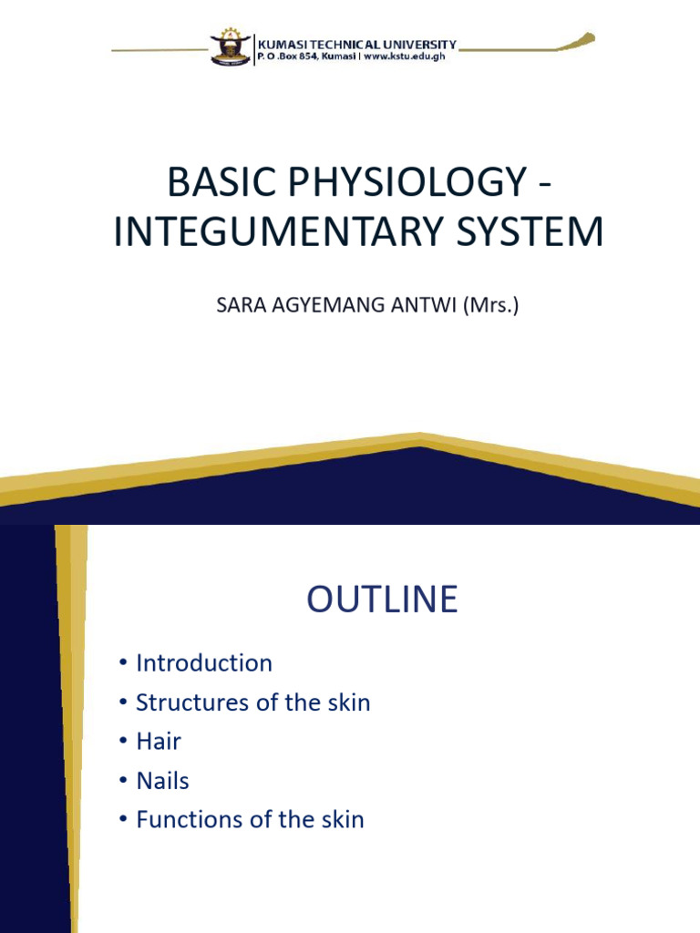 BPT 132 Basic Physiology 2 - Integumentary System | PDF | Integumentary ...