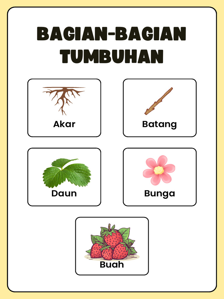 Bagian-Bagian Tumbuhan Poster Kuning Ilustratif | PDF