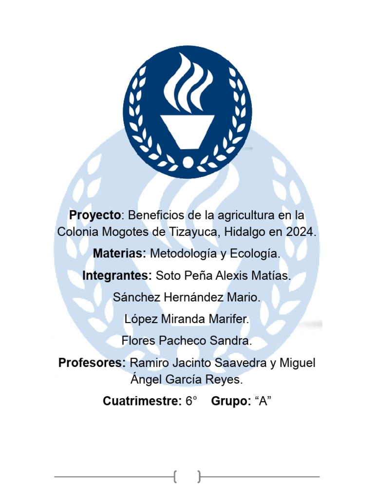 Agricultura Vertical 6 A CORREGIDO | PDF | Agricultura | Hidroponia