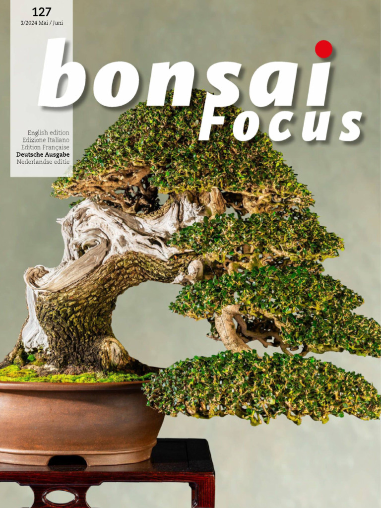 Bonsai Focus | PDF