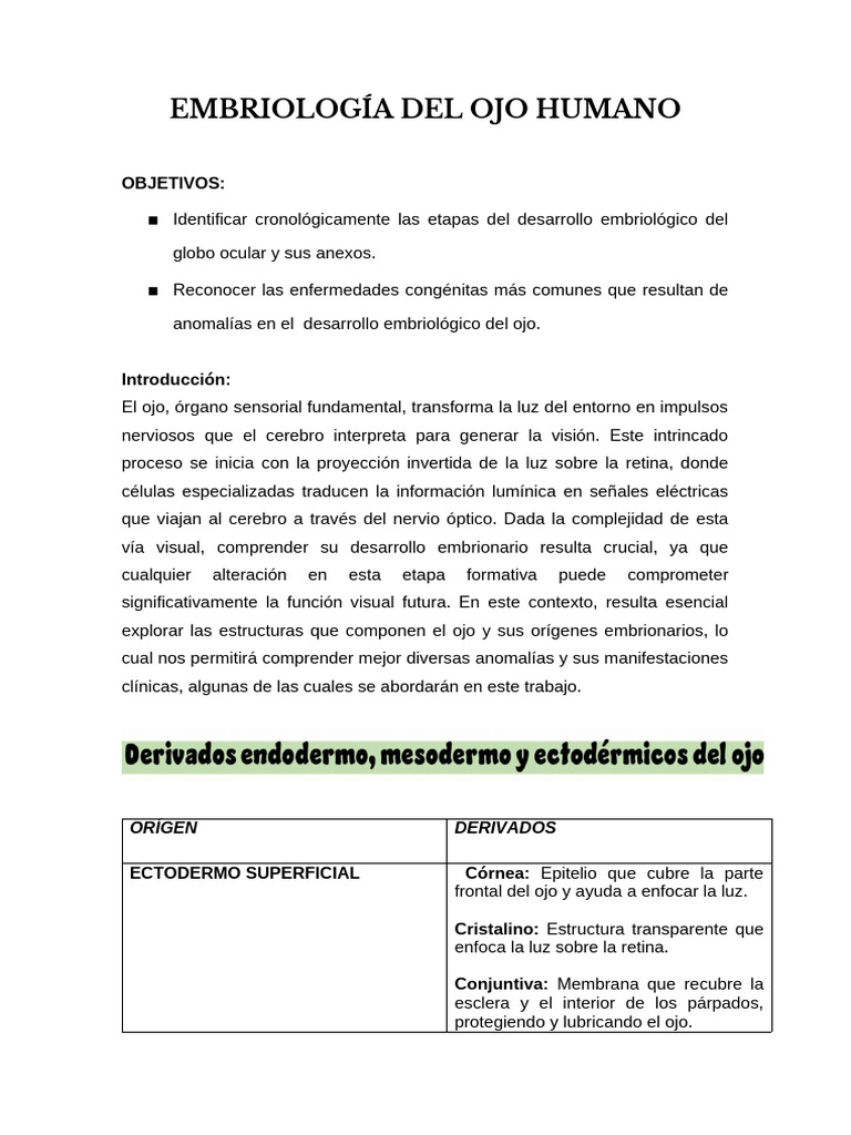 Ojo Lab | PDF | Ojo humano | Percepción visual