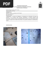 Técnicas de McMaster en Laboratorio | PDF | Heces | Especialidades Medicas