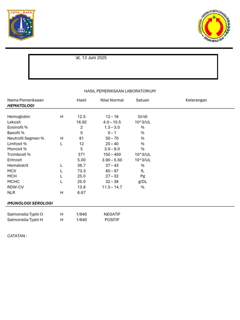 Hasil Cek Lab Muhammad Idris | PDF