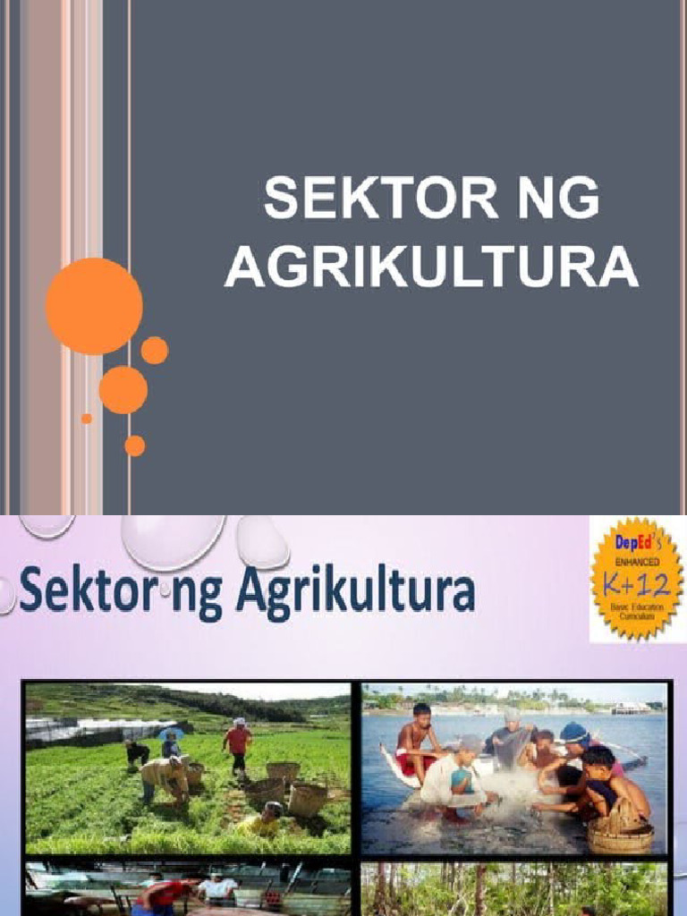 Sektor NG Agrikultura | PDF