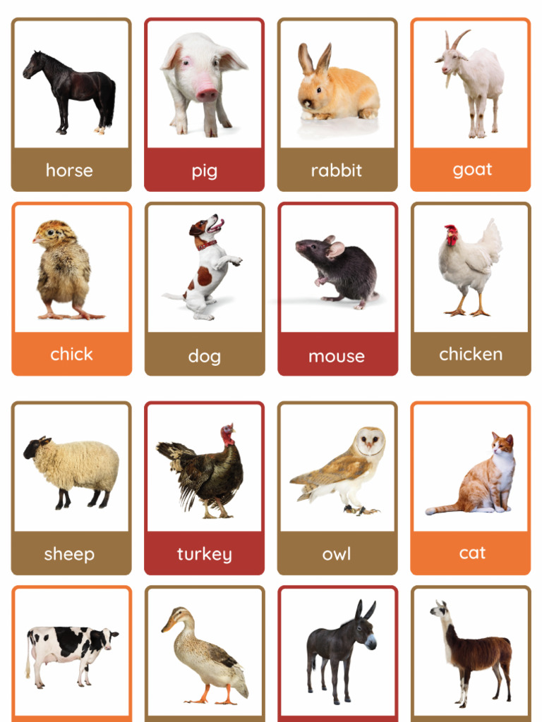Gold Red Fun Farm Animals Flashcards | PDF