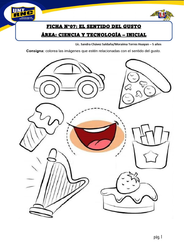 Ficha 07 Sentido Del Gusto | PDF