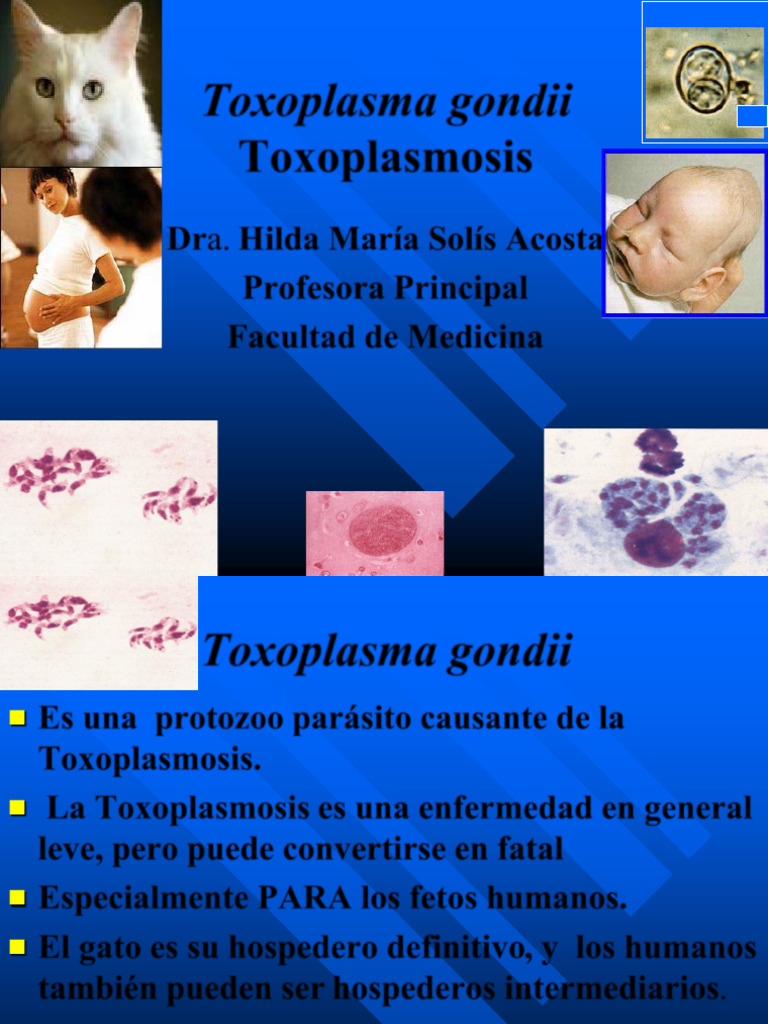 Teoría 12 B - TOXOPLASMOSIS | PDF | Inmunología | Biología