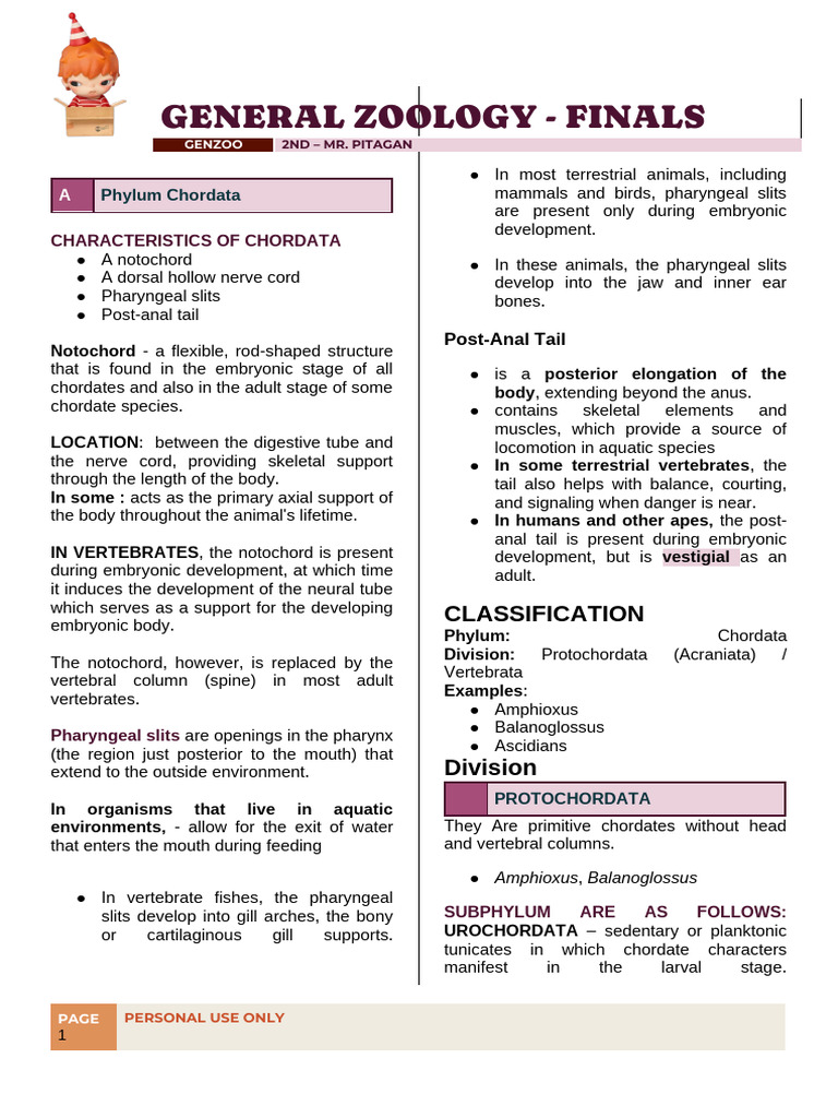 Characteristics of Phylum Chordata | PDF | Reptile | Amphibian
