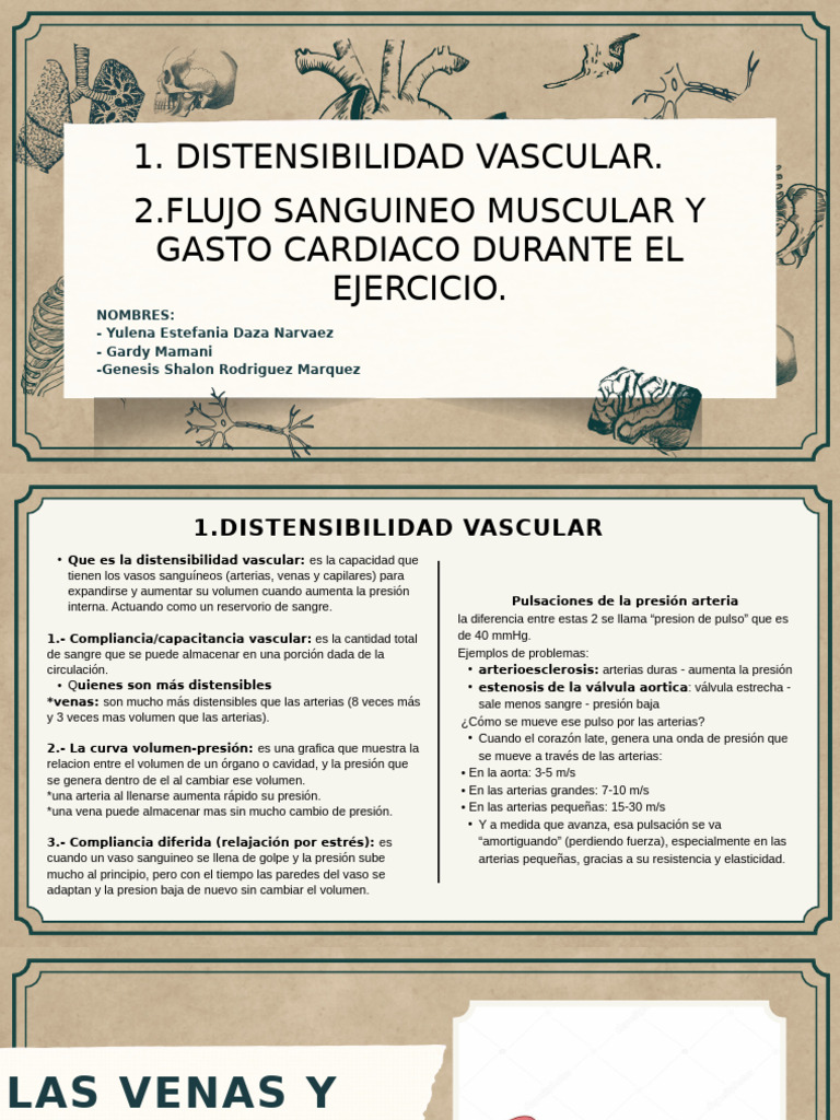 Fisio Ooo | PDF | Vena | Corazón