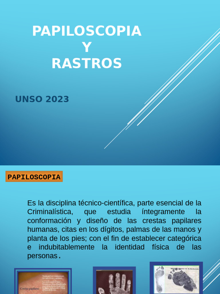 Papiloscopia Rastros Necropapiloscopia 2023 PRIMERA PARTE | PDF ...