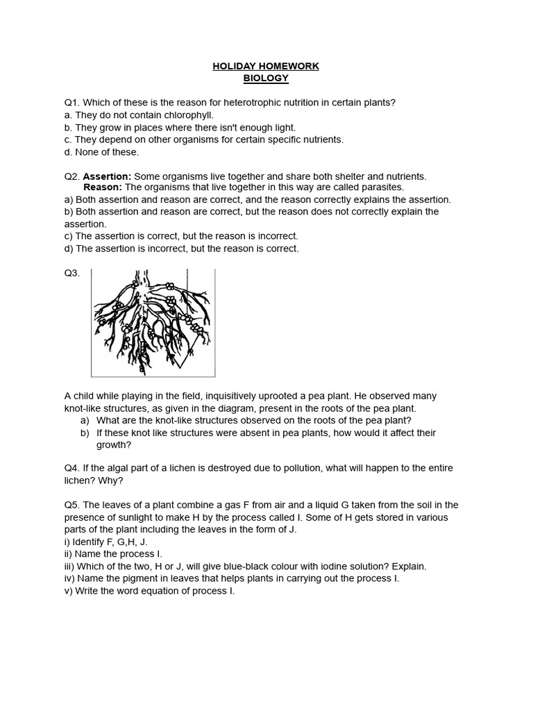 Class 7 HHW-2025 | PDF