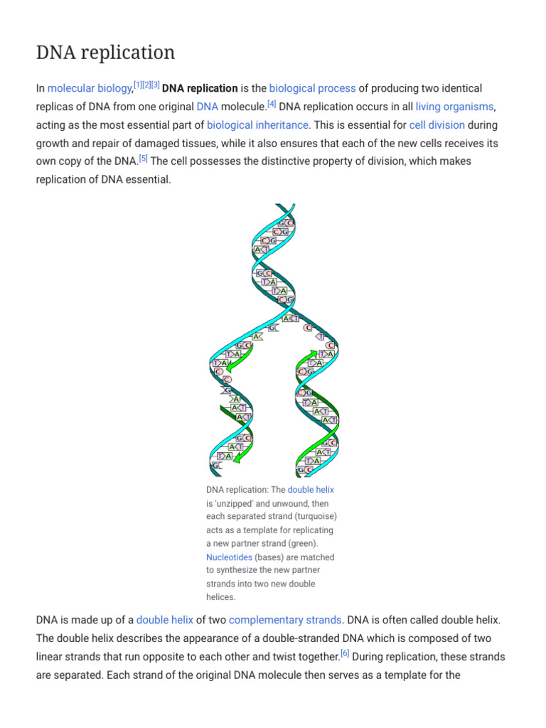 DNA Replication - Wikipedia | PDF | Dna Replication | Dna