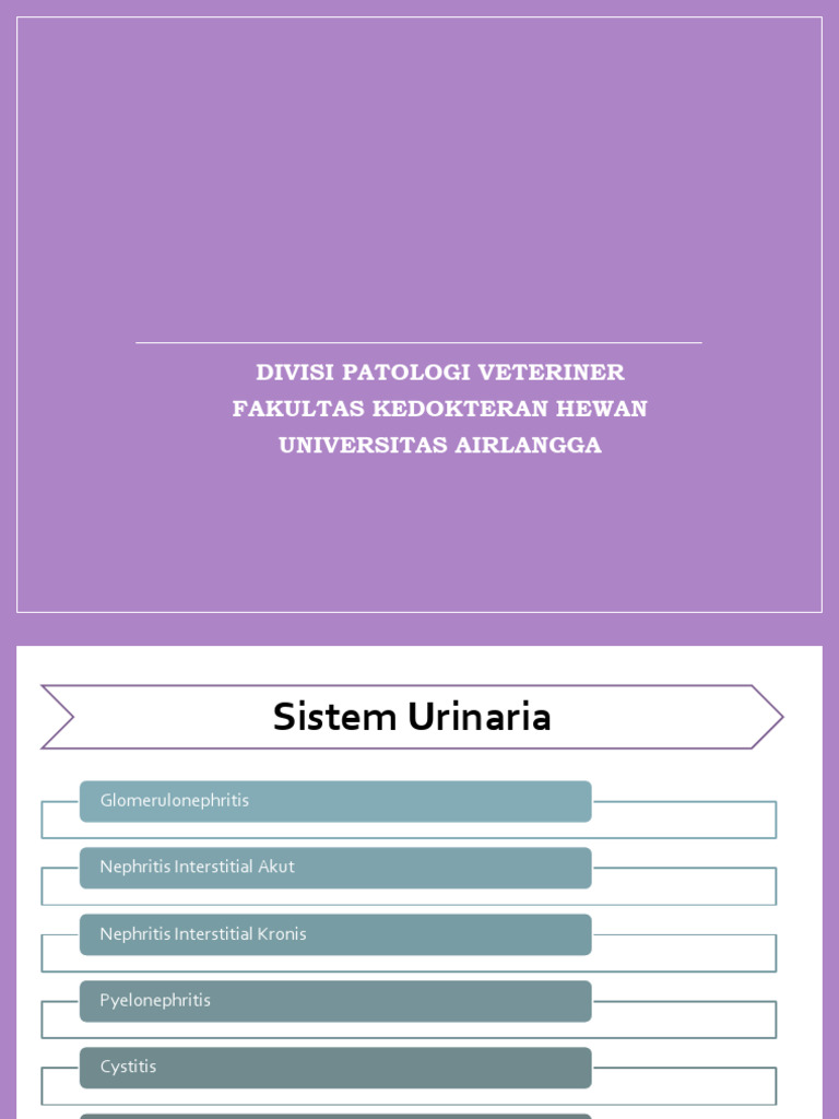 Gabungan PPT Patologi Sistemik | PDF | Stomach | Organ (Anatomy)