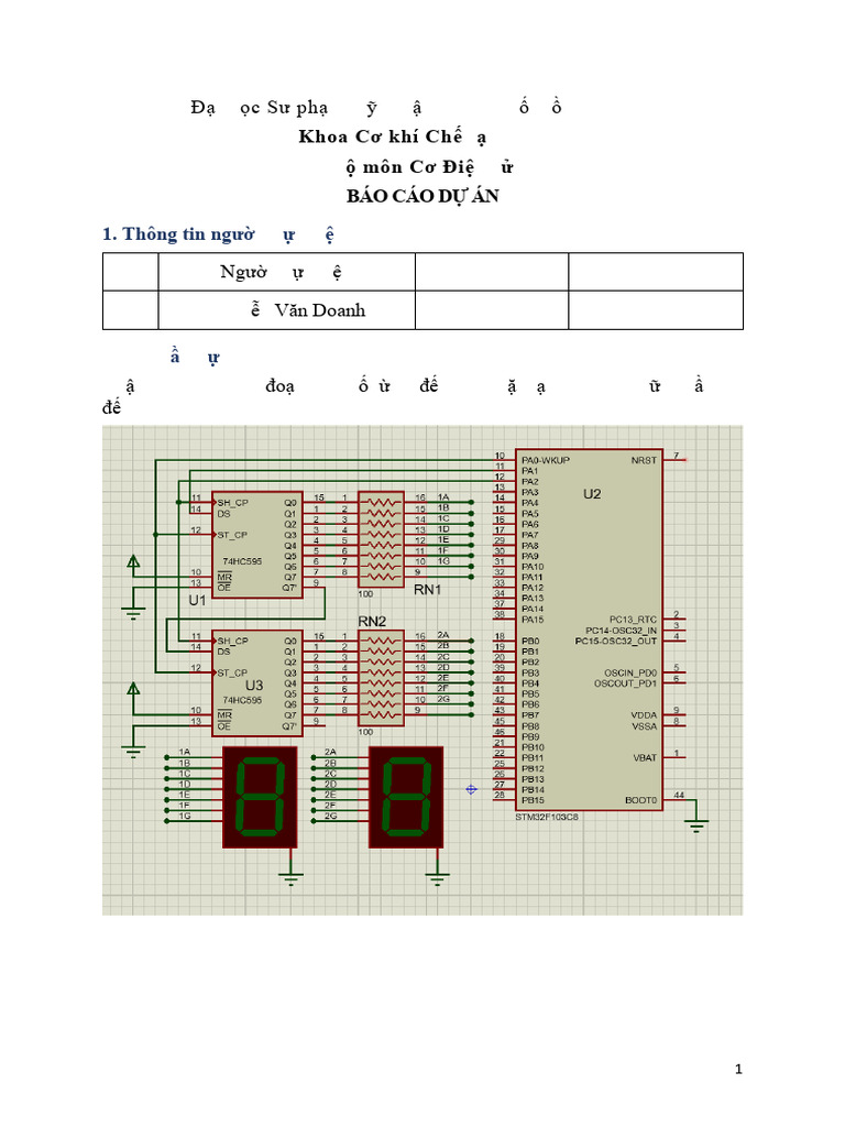 BaoCao DuAn | PDF