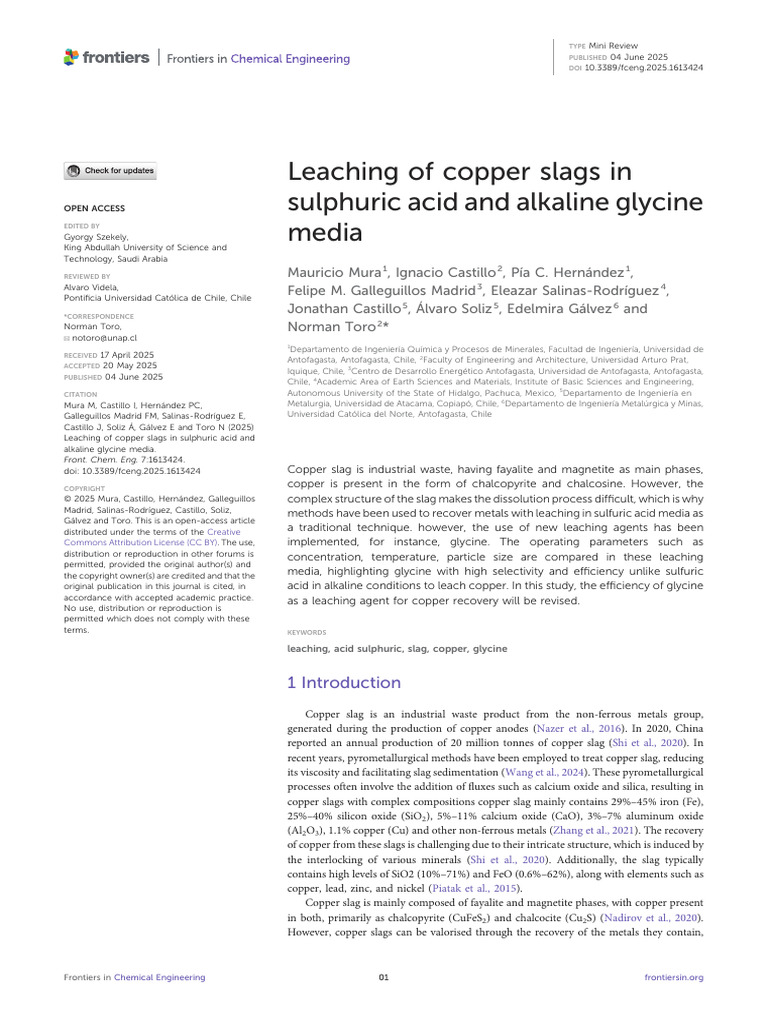 Lixiviación de Escorias de Cobre en Medios de Ácido Sulfúrico y Glicina Alcalina | PDF | Atoms ...