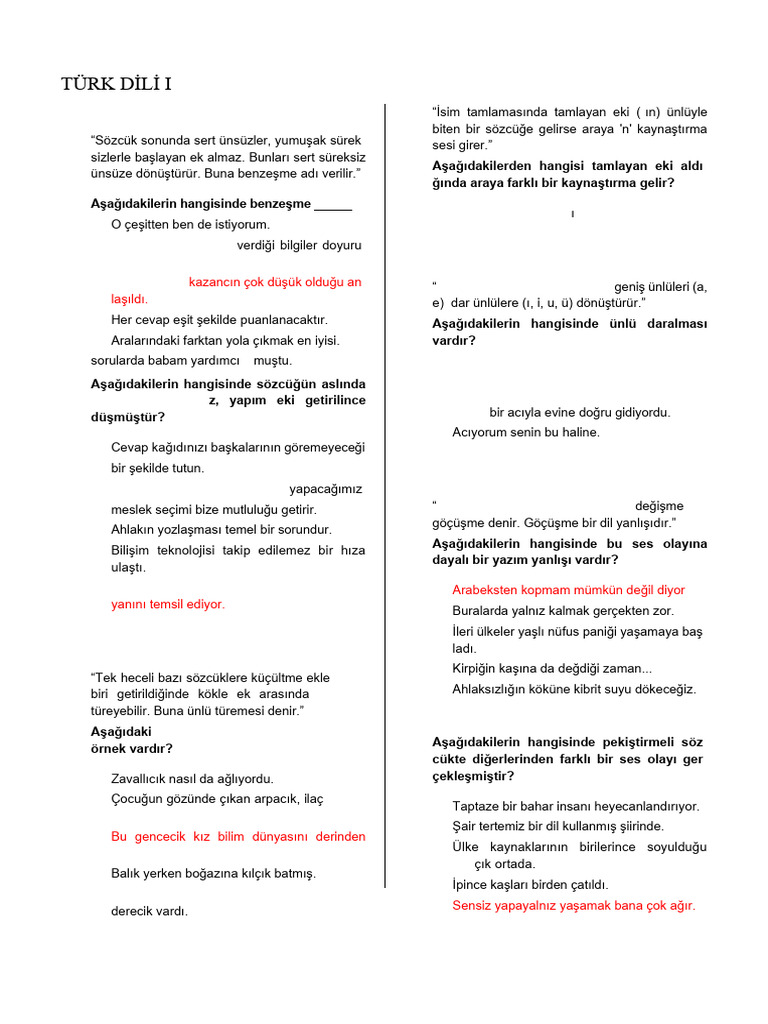 TÜRK DİLİ II (Vize) | PDF