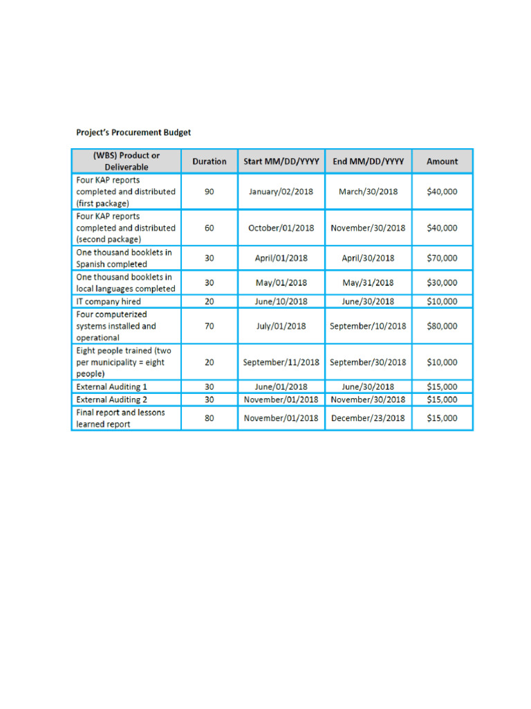 The Procurement Matrix and Critical Path Activity | PDF