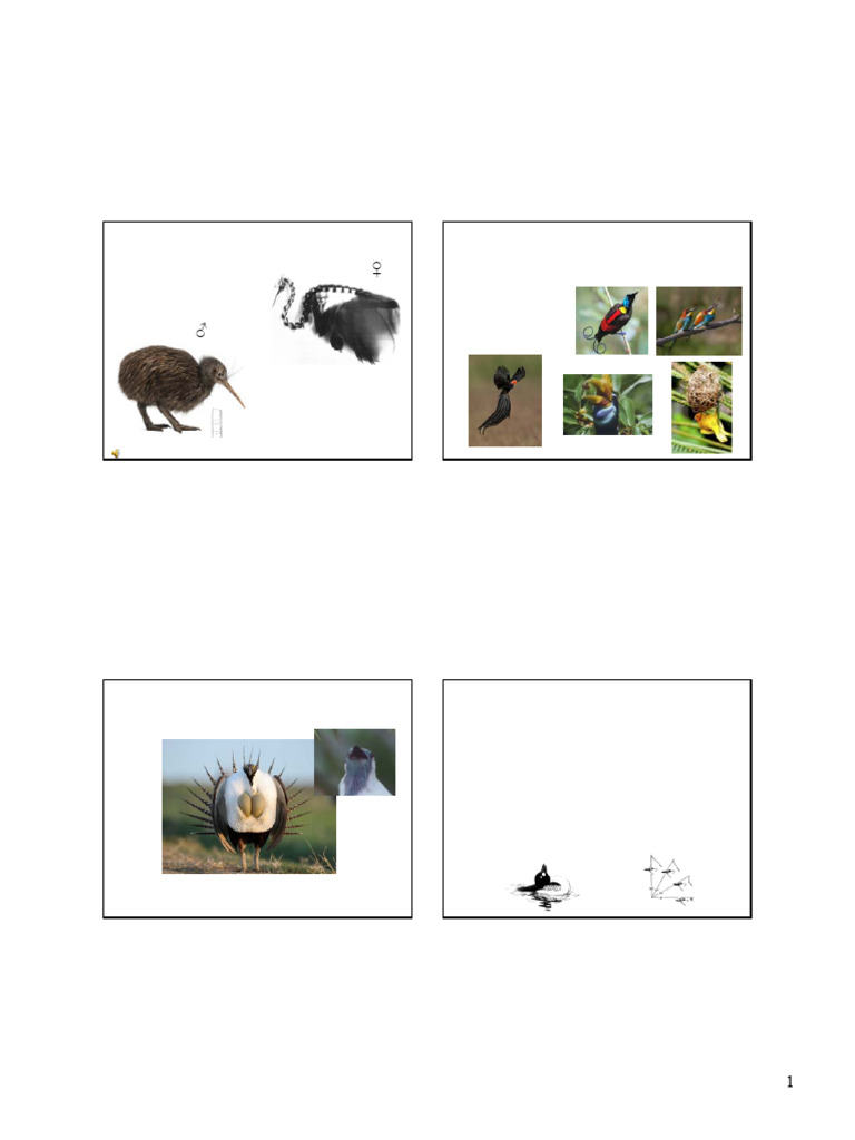 Mating Systems and Sexual Selection | PDF | Behavioural Sciences | Ethology