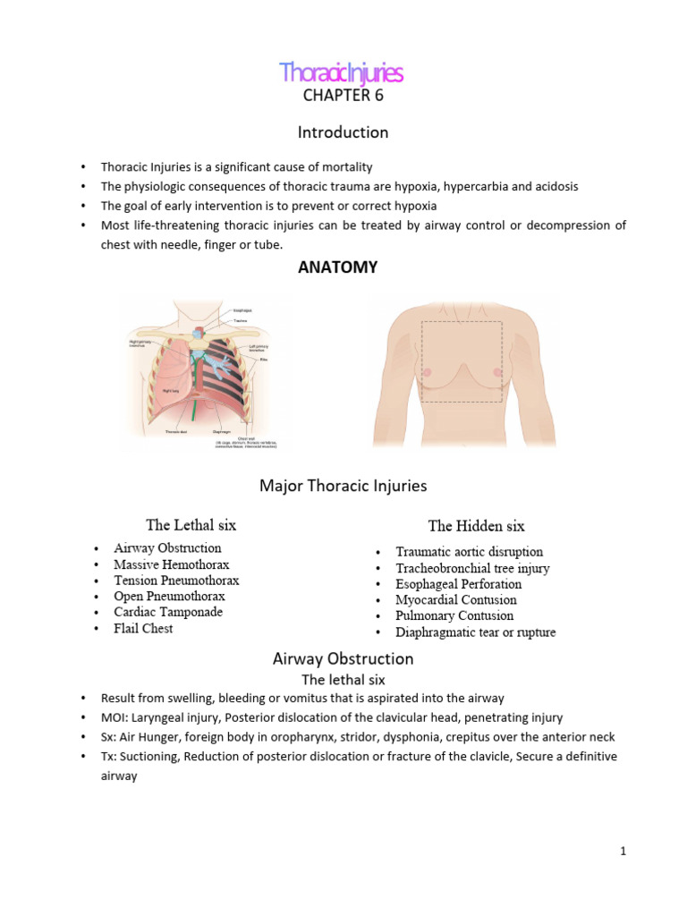 Chapter 06 - Thoracic Injuries | PDF | Thorax | Pulmonology