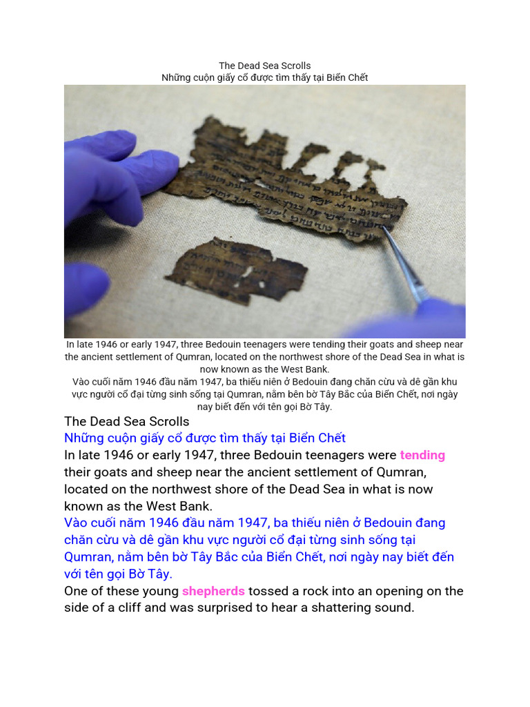 The Dead Sea Scrolls | PDF