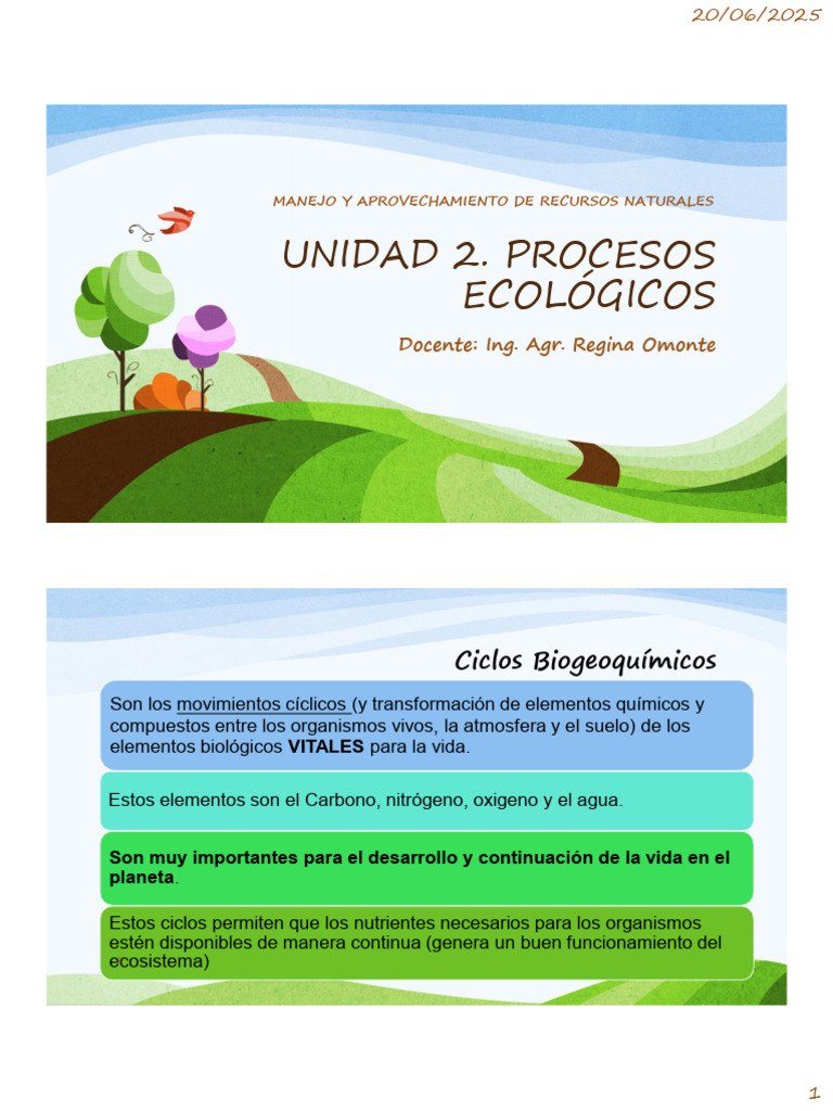 Unidad 2. PROCESOS ECOLÓGICOS | PDF | Agua | Glucosa