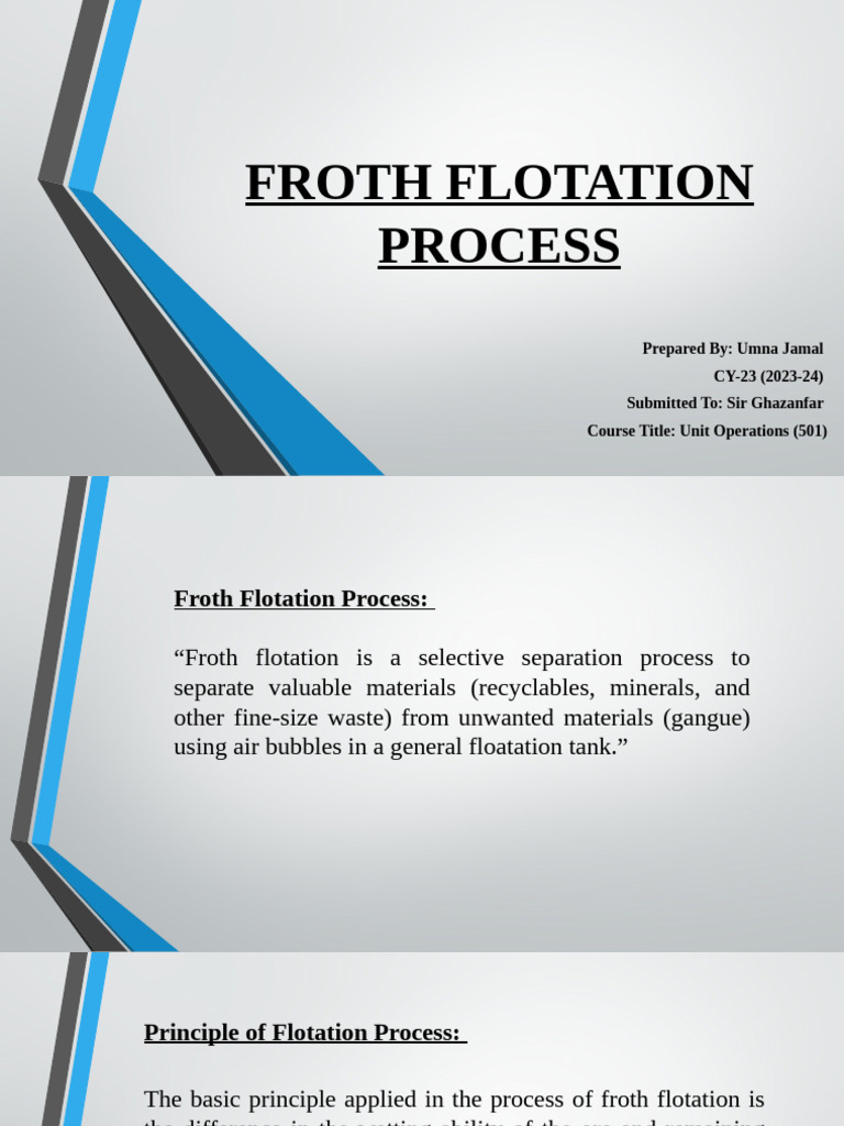 Froth Flotation Process | PDF
