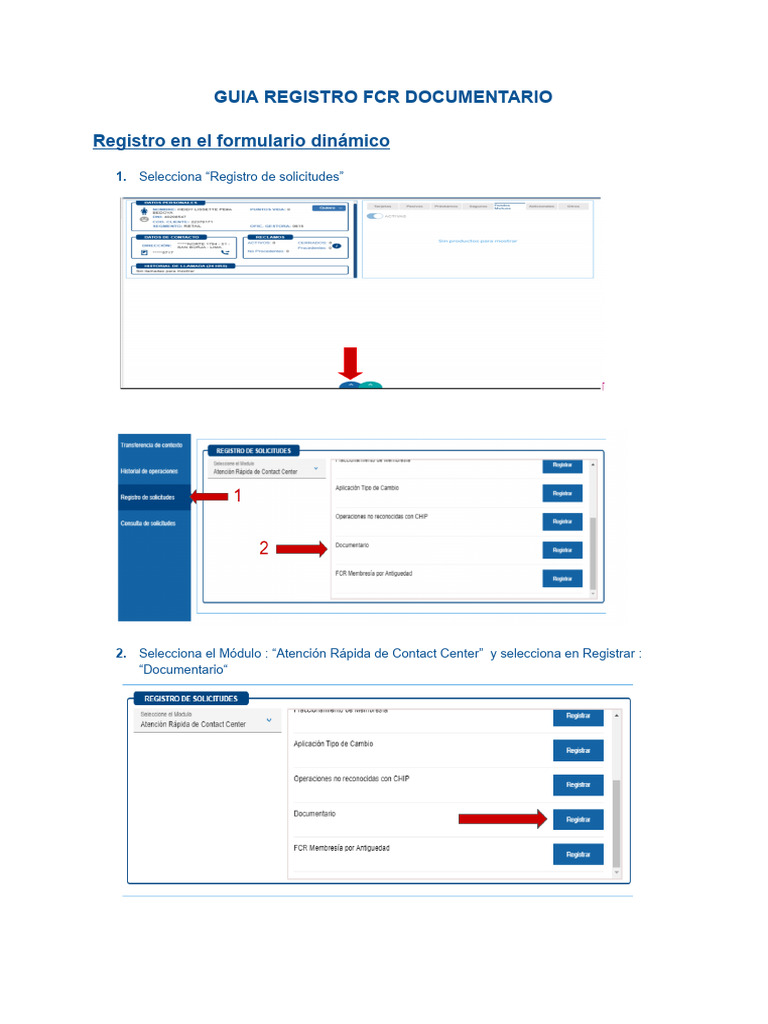 Guia Registro FCR Documentario | PDF