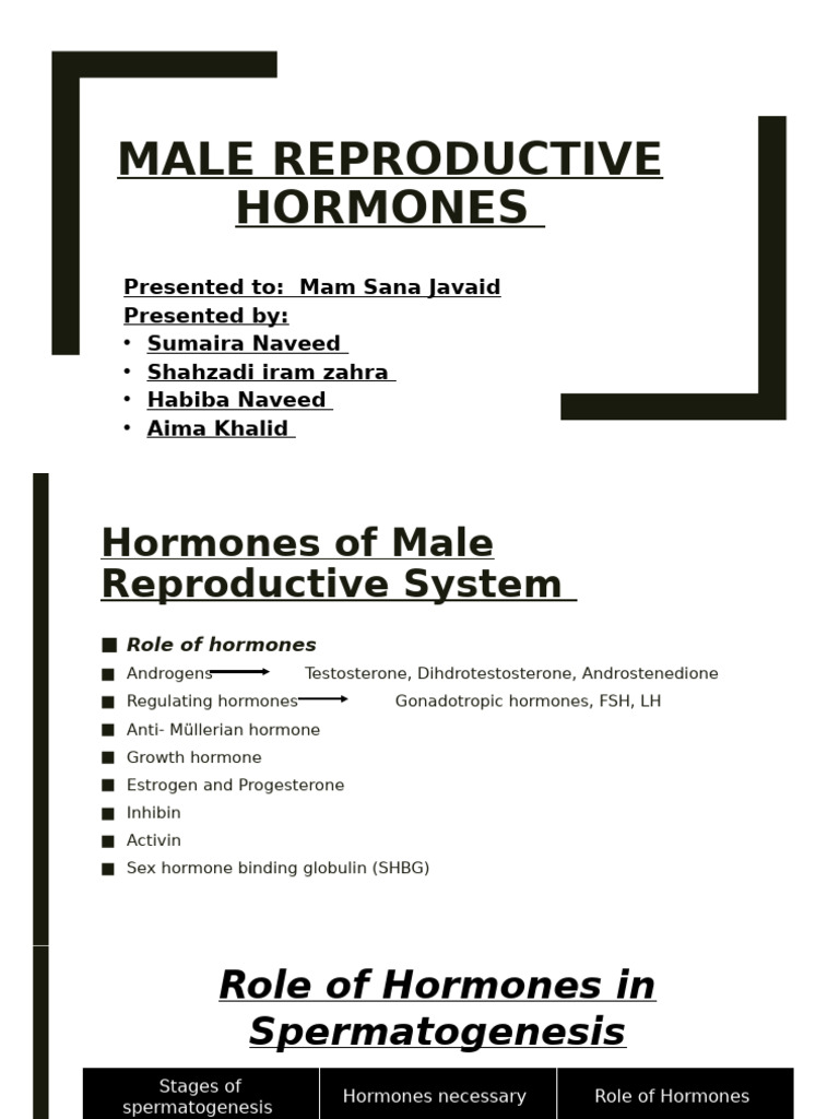 Male Reproductive Hormones | PDF | Luteinizing Hormone | Testosterone