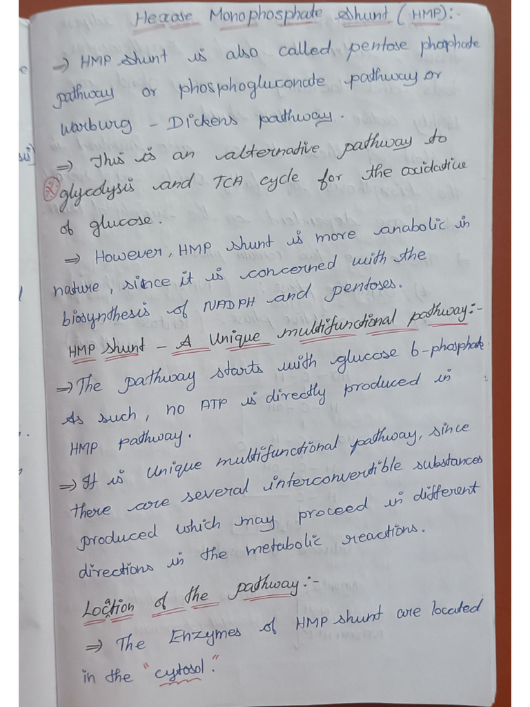 HMP Shunt Pathway | PDF