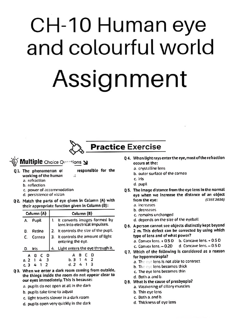 Human Eyes and Colourful World | PDF