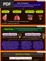 Class 10 Science Chapter 5 - Life Processes | PDF | Nutrition | Diet ...