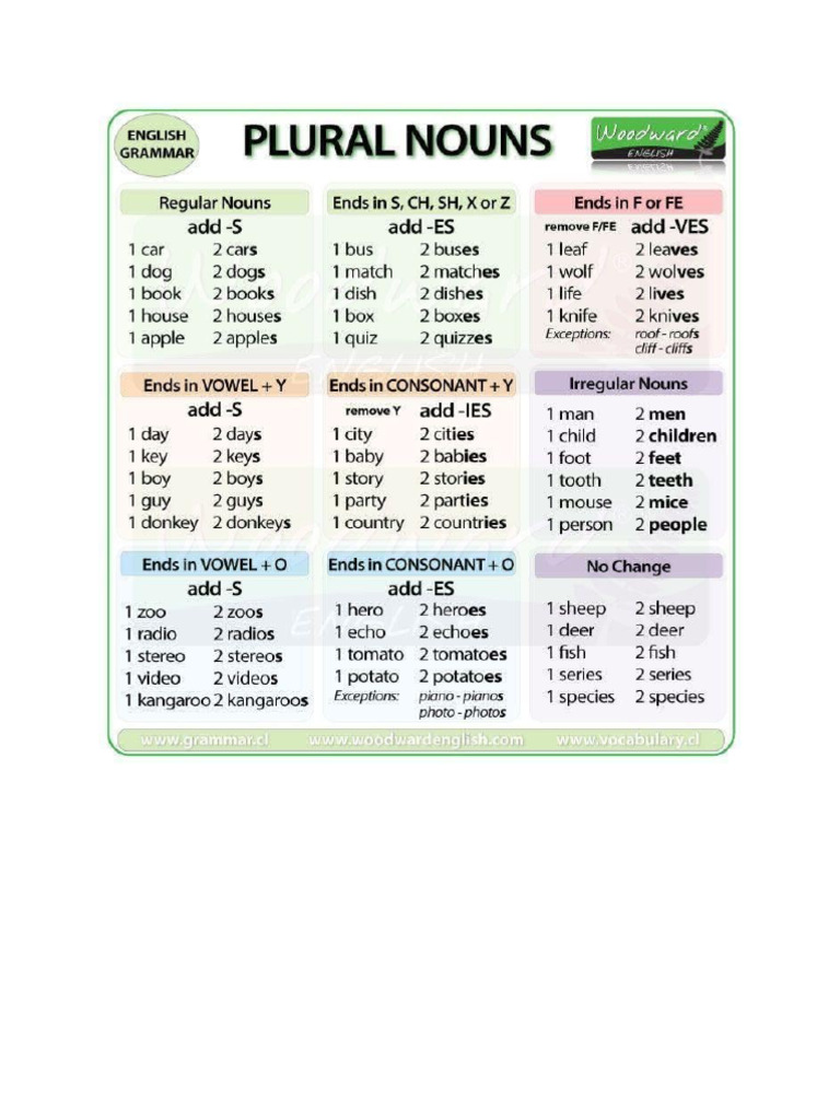 Singular and Plural Form | PDF