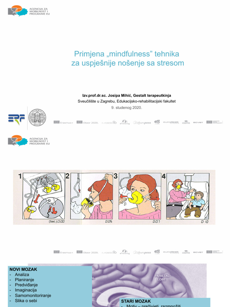 Mihic 1 | PDF