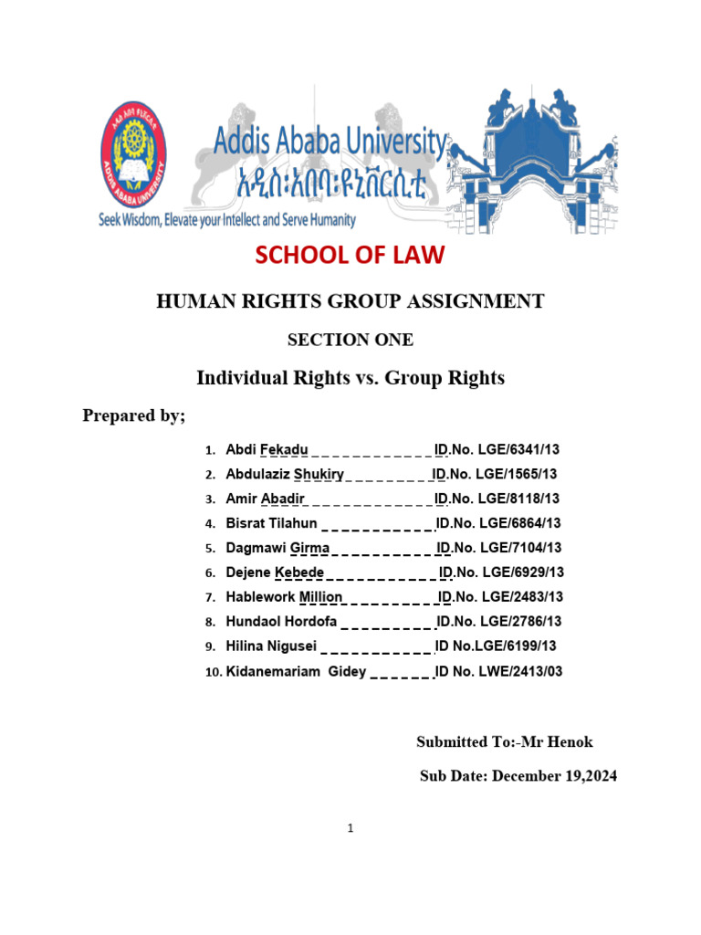 Human Right Group Assignment Final | PDF | Affirmative Action | Rights