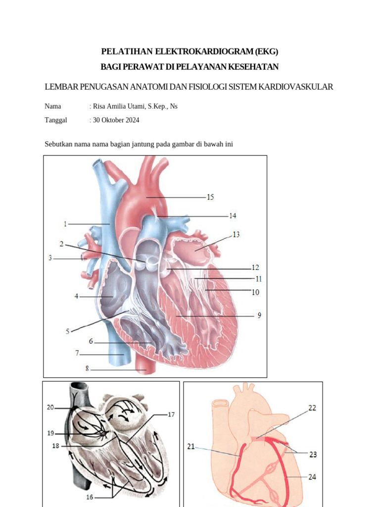 LEMBAR PENUGASAN Anatomi Dan Fisiologi Sistem Kardiovaskular Risa | PDF