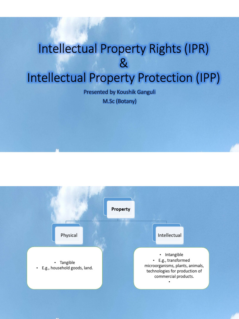 Understanding Intellectual Property Rights | PDF | Patent ...
