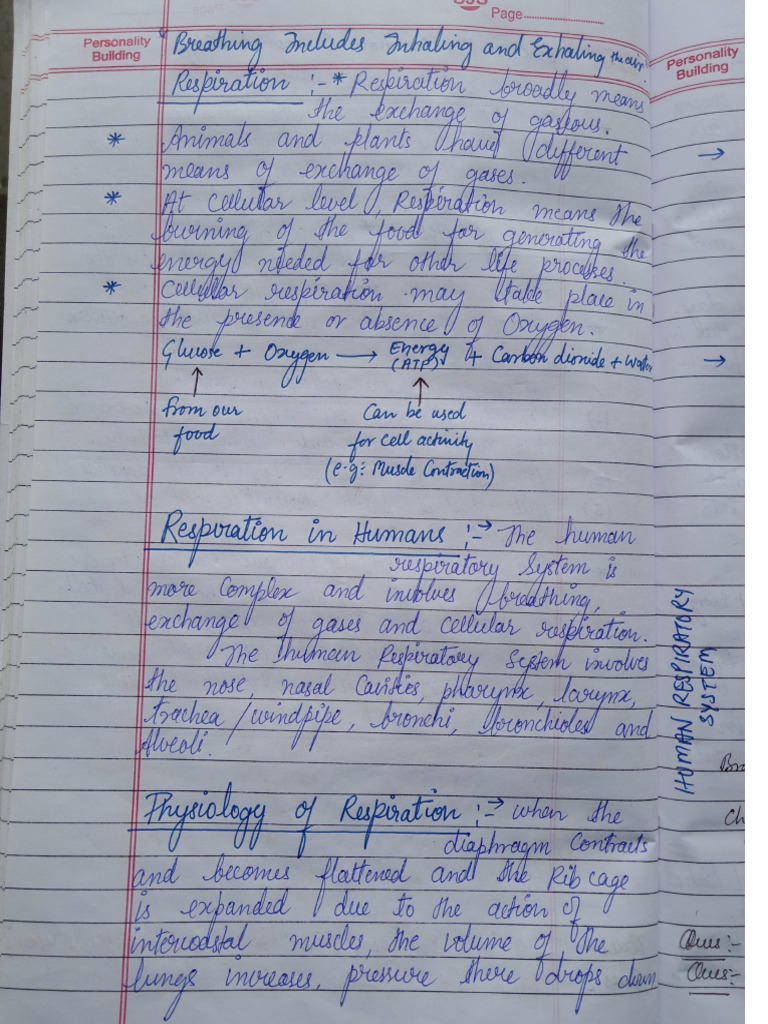 Class. 10 Bio Life Process Stu. Work 3-1 | PDF