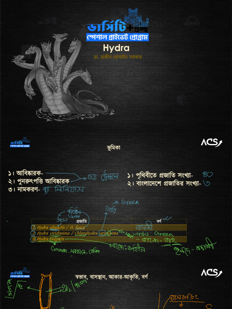 Animal Identity Hydra 1 | PDF