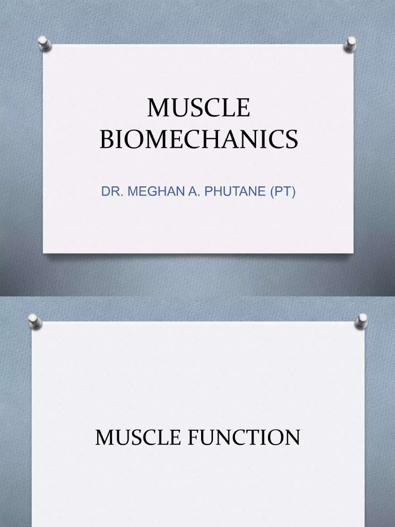 Muscle Structure and Function | PDF
