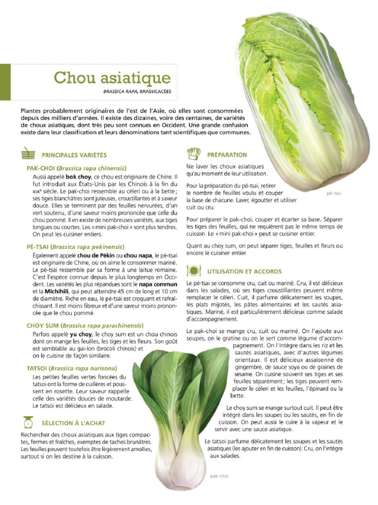 Chou Asiatique | PDF