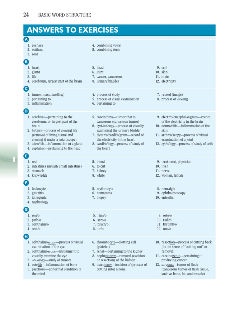 Understanding Basic Word Structure | PDF | Gastrointestinal Tract ...