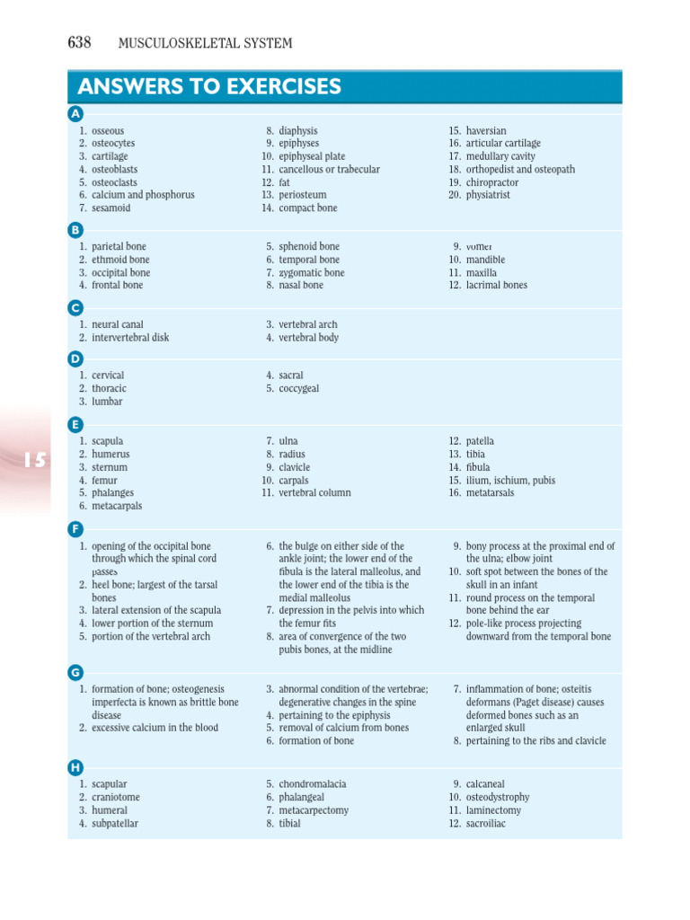 Musculoskeletal System Exercise Answers | PDF | Bone | Joint