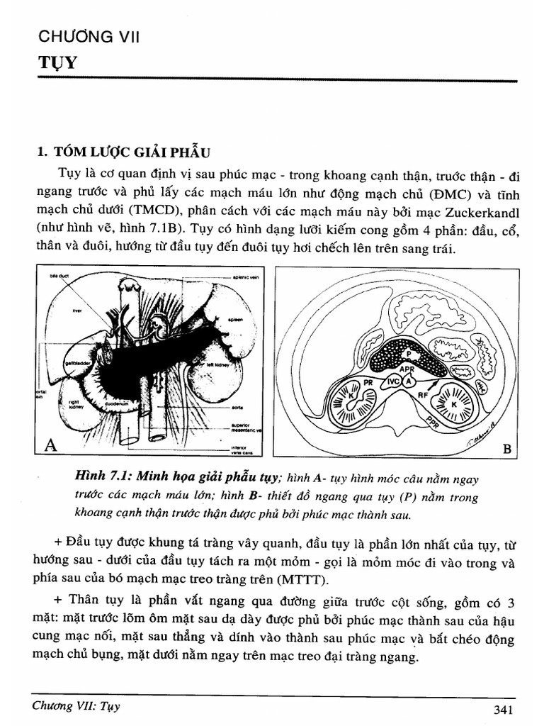 SA - Sieu Am Bung Tong Quat, Bs Nguyen Phuoc Bao Quan | PDF