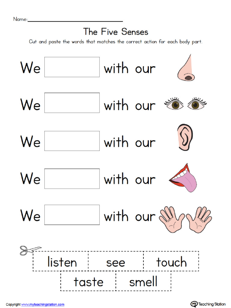 5 Senses Body Parts in Color | PDF
