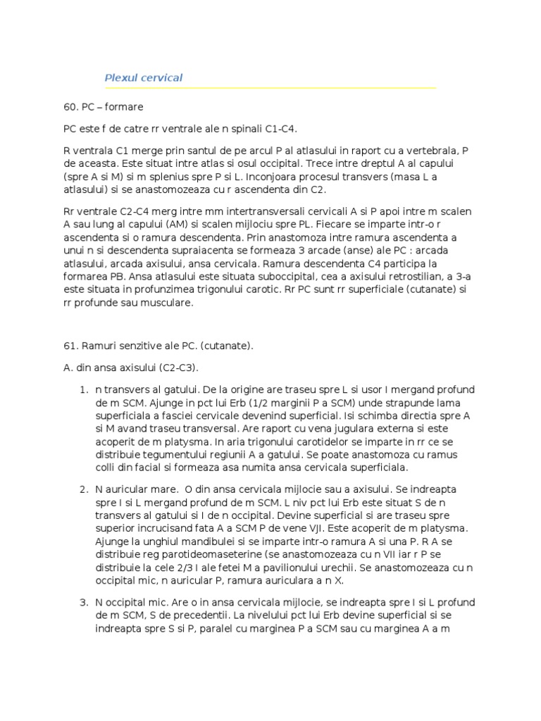 Plexul Cervical | PDF