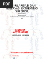 Anatomi dan Fisiologi Aksila | PDF