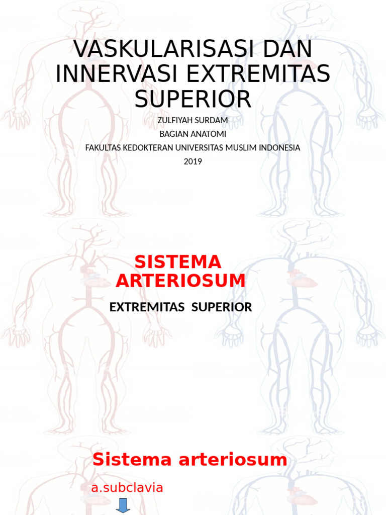 Vaskularisasi Dan Innervasi Extremitas Superior | PDF