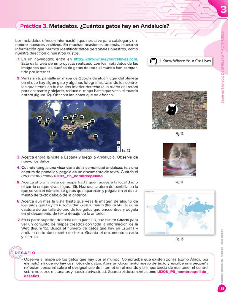 Practica 3 - Metadatos | PDF